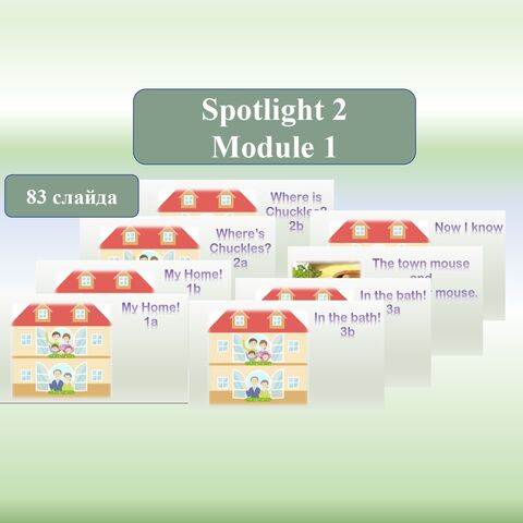 Презентация Spotlight 9 module 4b "Computer problems"