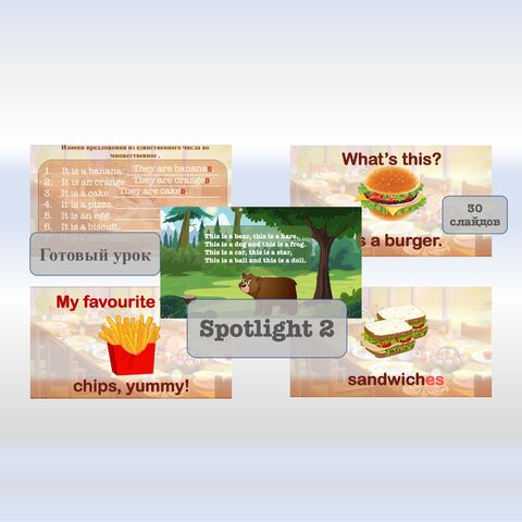 Презентация к уроку "Pets" Spotlight 2