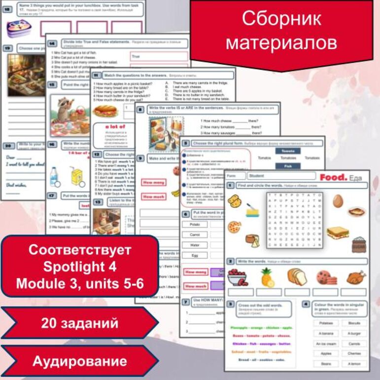 Сборник упражнений 3 аудио по теме Past Simple для Spotlight 4