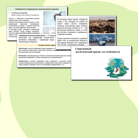 Урок на тему "Экологическая лабортория"