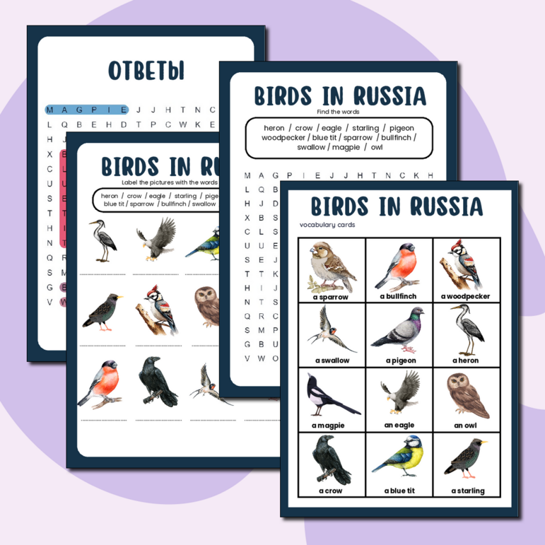 Birds in Russia (лексика и задания)