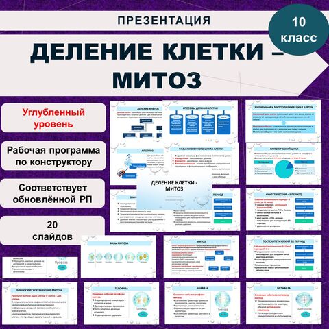Клетка. 10 класс углубленный уровень.