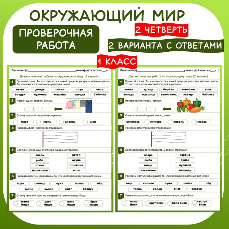 Диагностическая проверочная работа по окружающему миру. 1 класс. 2 ...