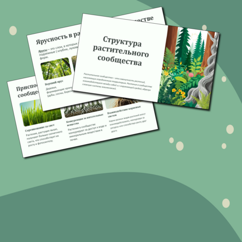 Презентация по биологии на тему "Растительные сообщества" (7 класс)