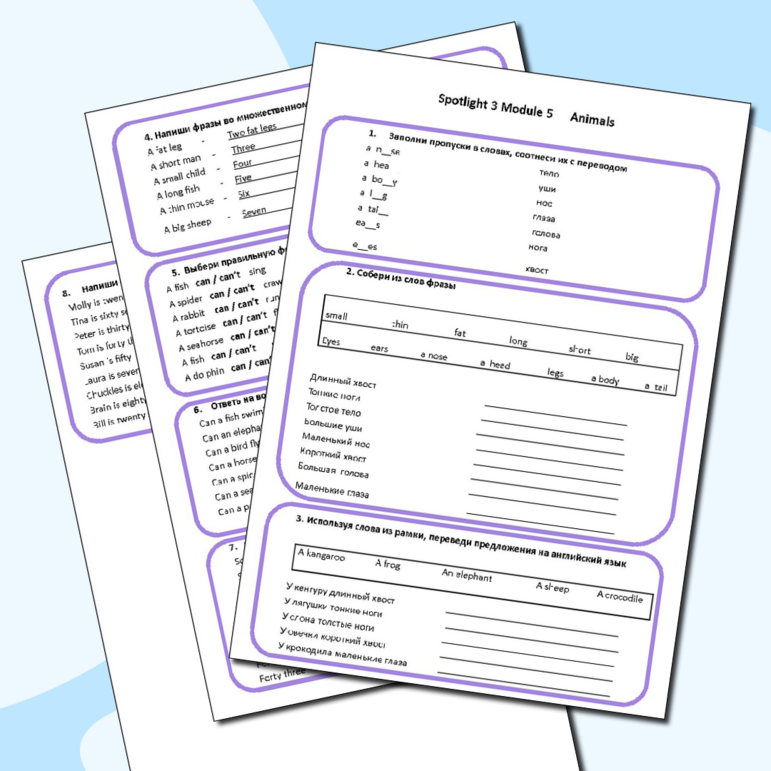 Spotlight 3 Module 5 Animals Проверялочка-пятиминутка