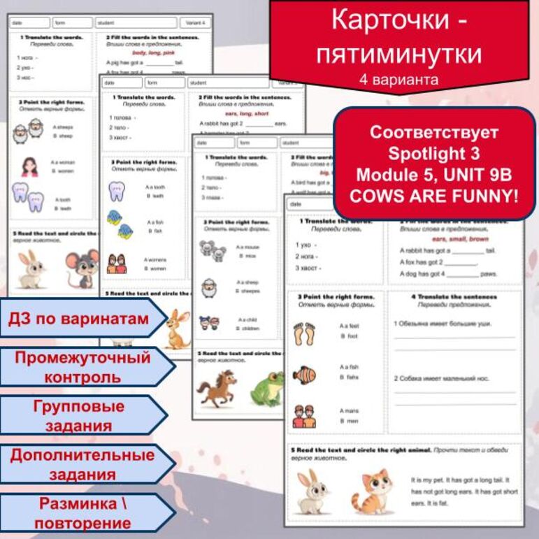 Карточки-пятиминутки по теме Животные / Animals для Spotlight 3, Module 5 furry friends, Unit 9b ...
