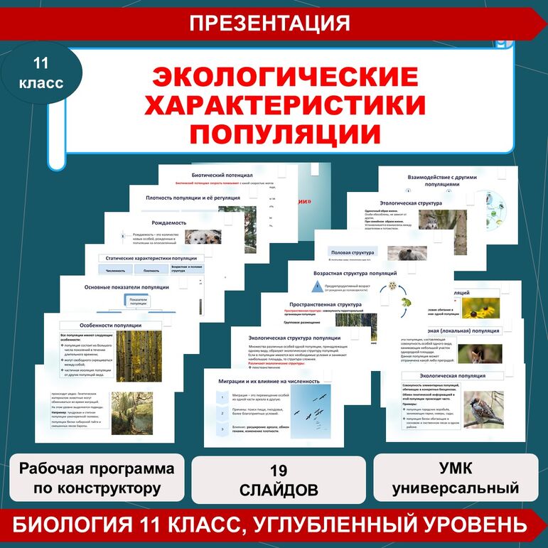 Презентация. Экологиеские характеристики популяции. Биология 11 класс ...
