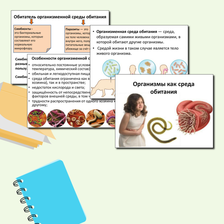 Среда обитания современного человека таблица обществознание 6 | Obrezka.com