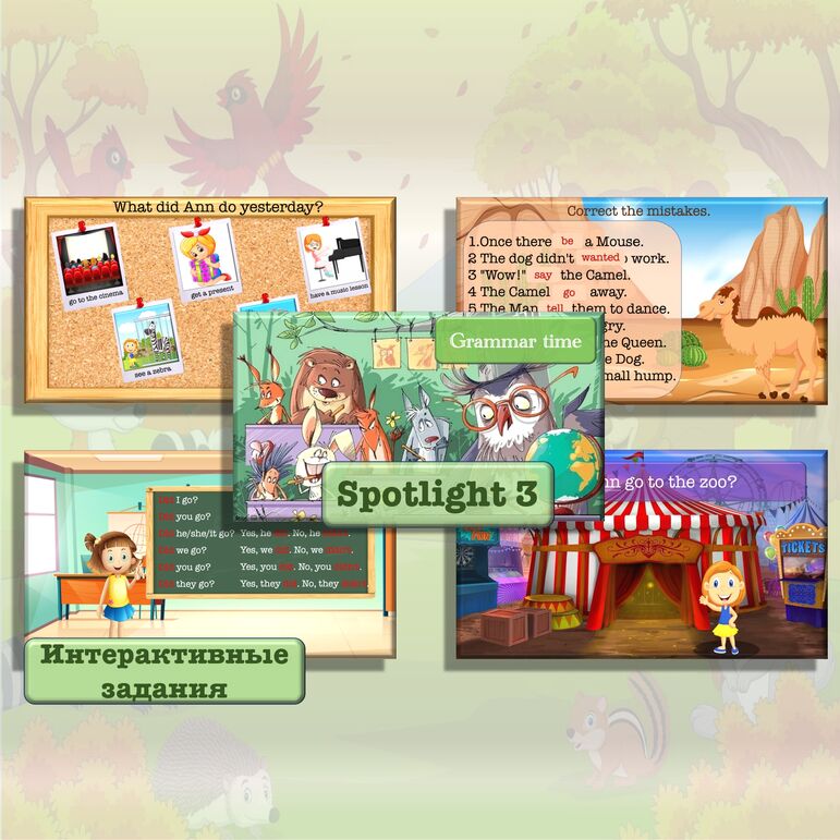 Презентация к уроку английского языка, Spotlight-3, урок Grammar Time, Module 5 (Clever animals)
