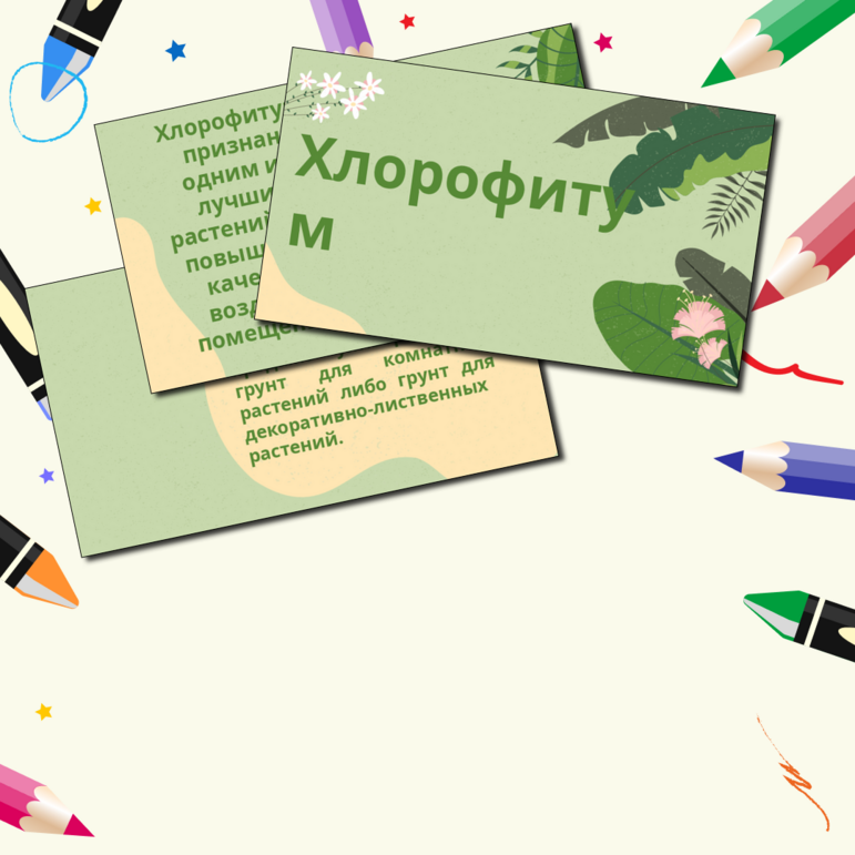 Презентация "Хлорофитум"