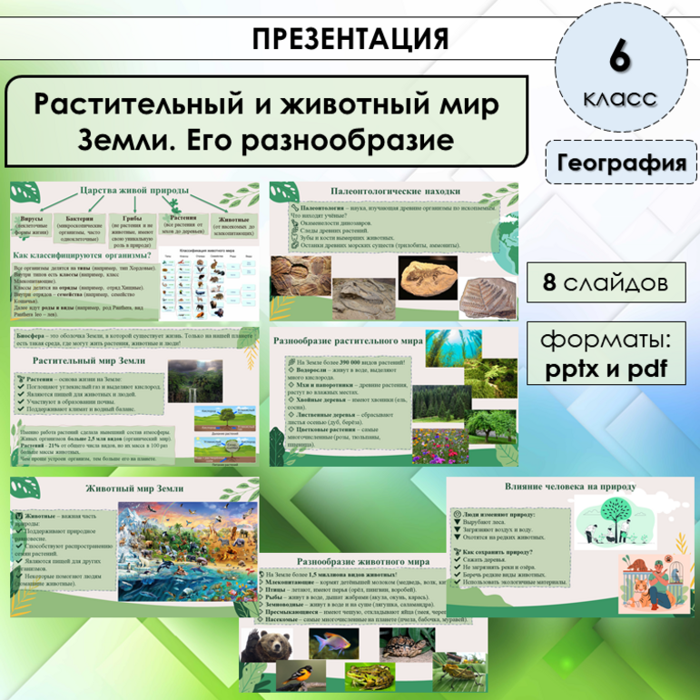 Рабочий лист для урока географии в 6 классе по теме Растительный и