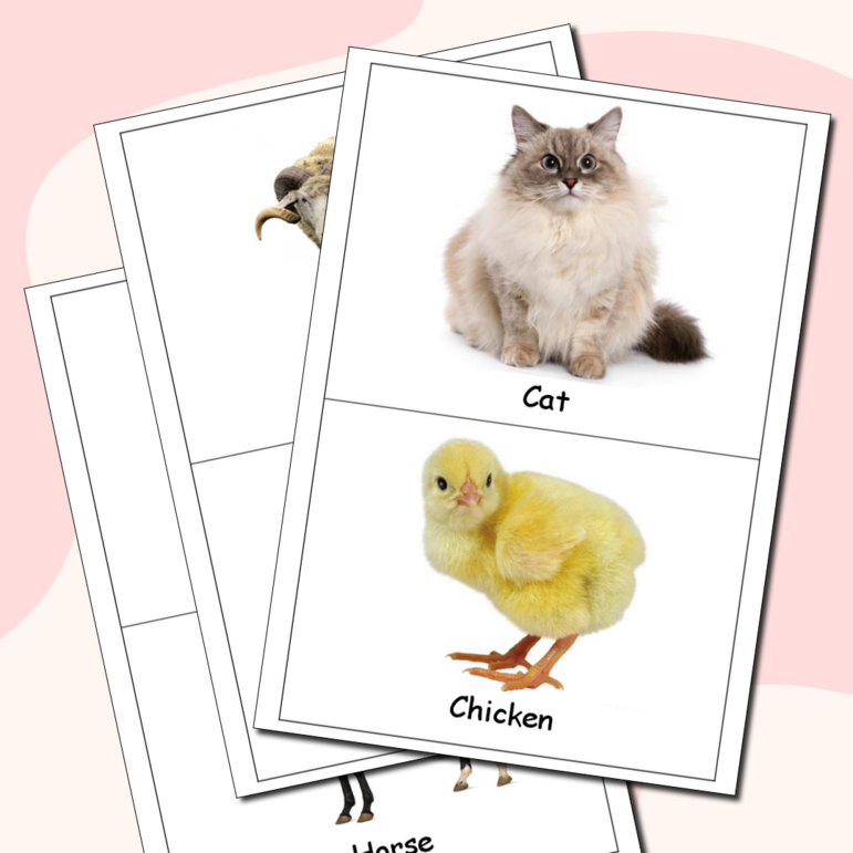 Флешкарты "Домашние животные" (Flashcards "Domestic animals")
