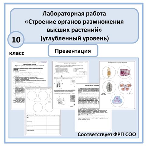 Контрольная работа № 1 "Углеводороды" 10 класс (углубленный уровень)
