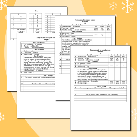 Презентация Spotlight 9 module 4b "Computer problems"