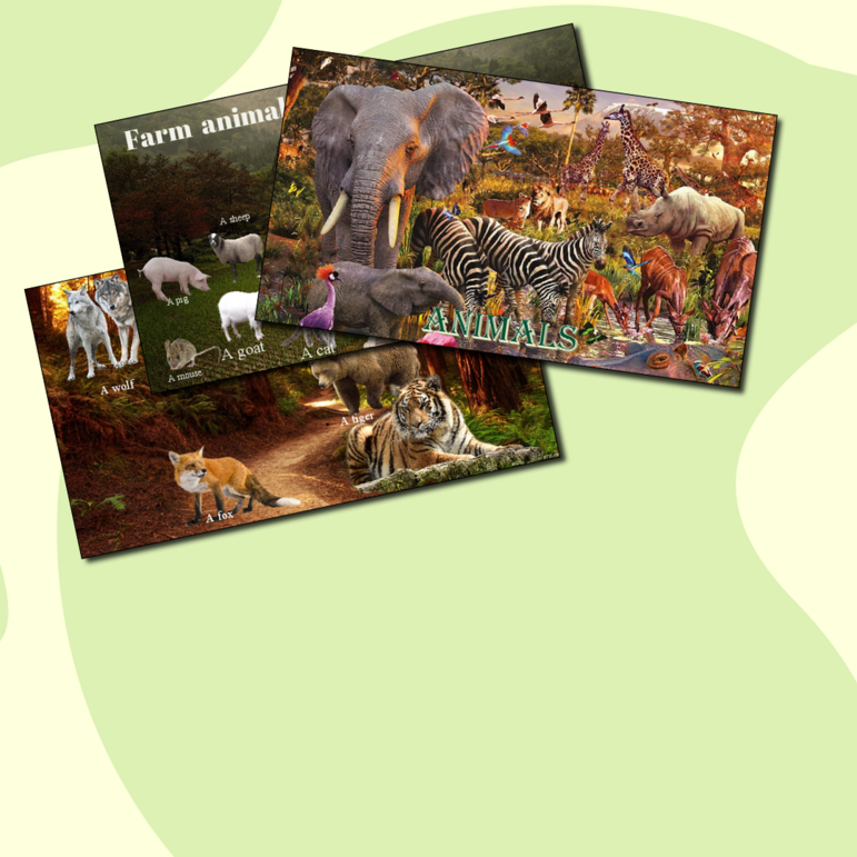 Презентация по английскому языку по теме животные farm animals wild ...