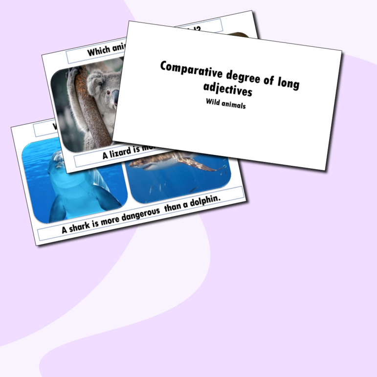 Контрольная работа «Amazing Animals. Comparative Degree of Adjectives»