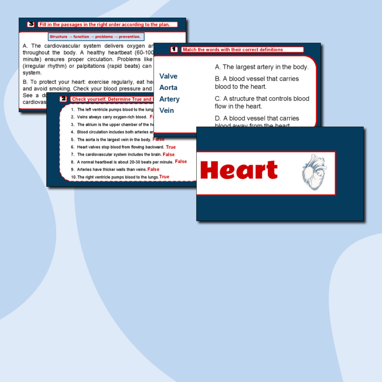 Презентация по теме «The heart: structure and function» «Сердце ...