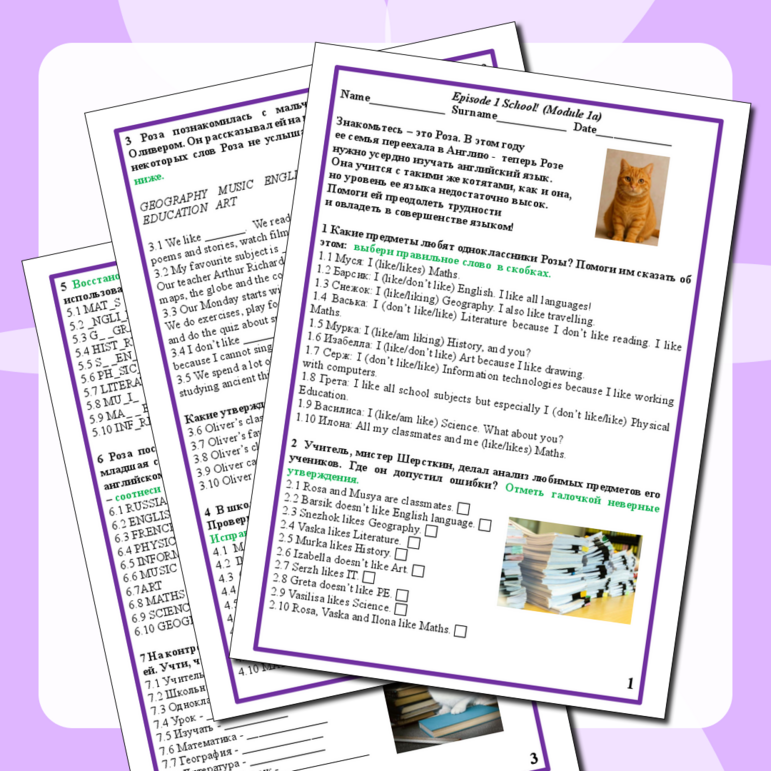 «Рабочий лист по английскому языку Spotlight 5 Module 1a School!»