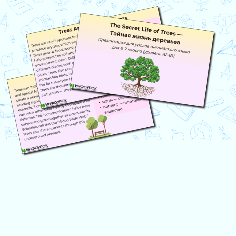 Презентация «The Secret Life of Trees»
