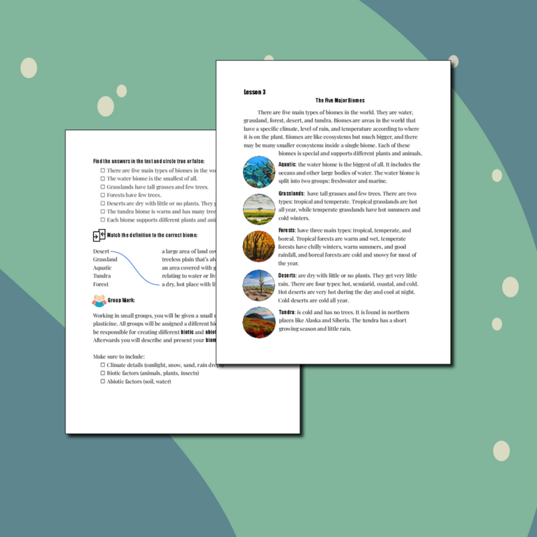 English Lesson on Ecosystems: методические материалы на Инфоурок