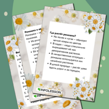 "Ромашки" (папка - передвижка, буклет, материал для оформления стенда ...