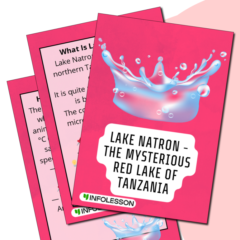 Display Folder “Lake Natron – The Flamingo Lake of Tanzania”
