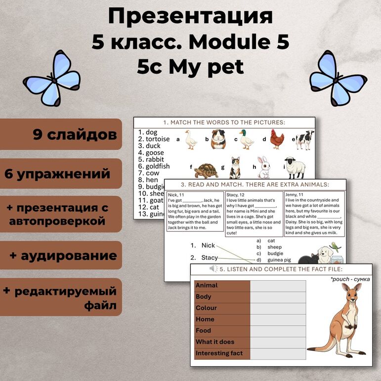 Презентация Spotlight 5. Module 5. 5c «My pet»