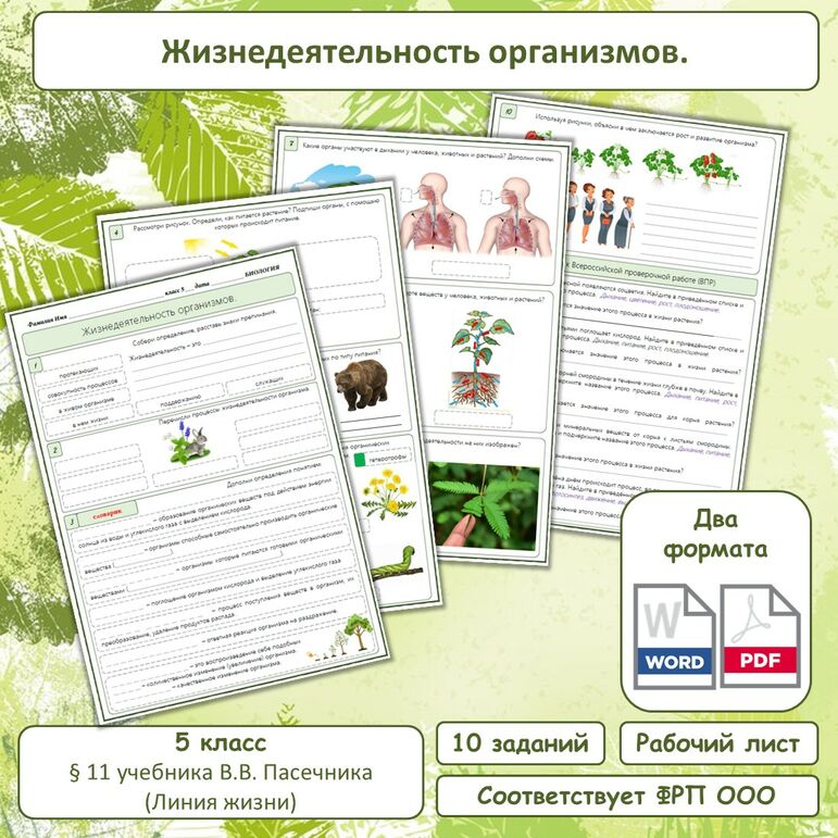 Рабочий лист «Жизнедеятельность организмов», 5 класс