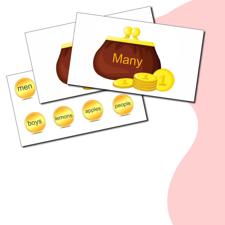 Дидактическая игра much/many.
