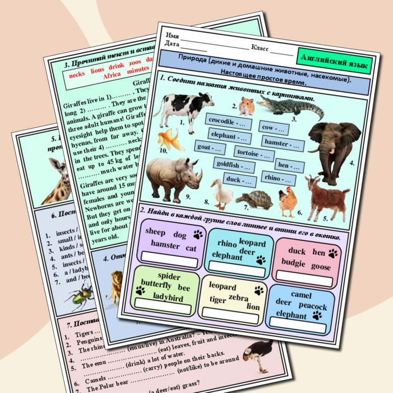Рабочий лист по английскому языку по теме Animals. Present Simple ...