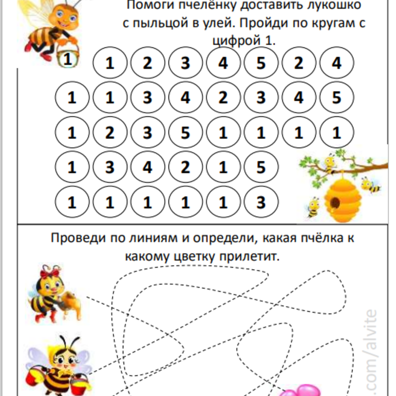 Математические дорожки