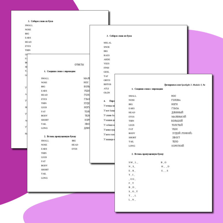 Тренировка слов Spotlight 3. Module 5, 9a