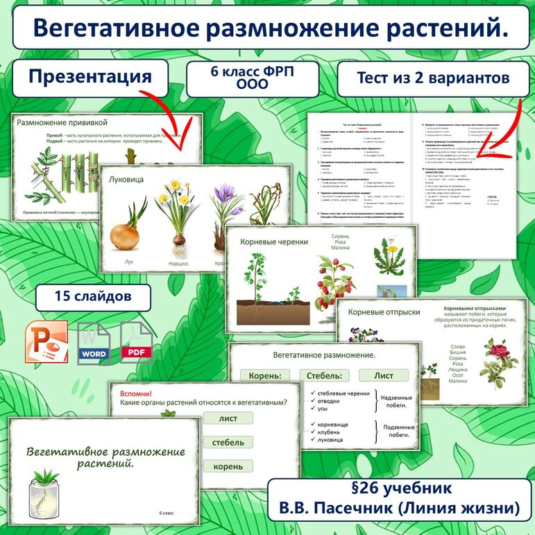 Презентация «Вегетативное размножение растений» + тест «Размножение ...