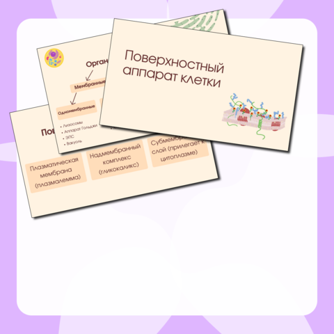 Клетка. 10 класс углубленный уровень.