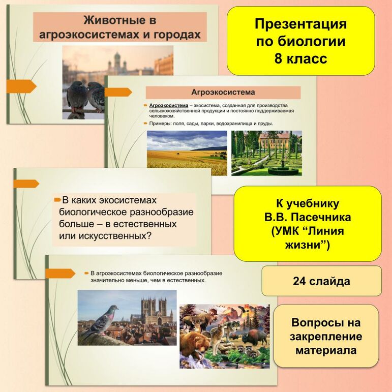 Презентация + рабочий лист «Животные в агроэкосистемах и городах ...