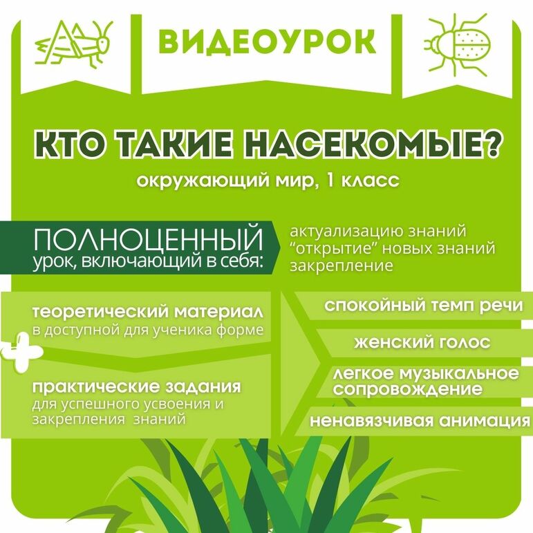 Видеоурок "Кто такие насекомые?", окружающий мир, 1 класс